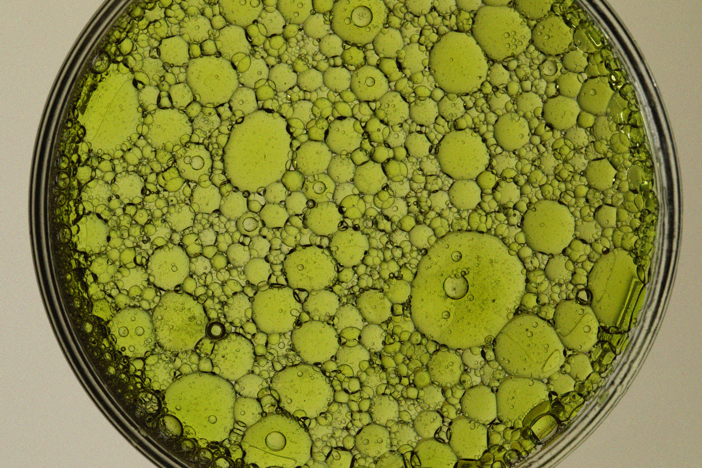 Secrets of the Face Microbiome: Importance, Balance, and Common Myths ...